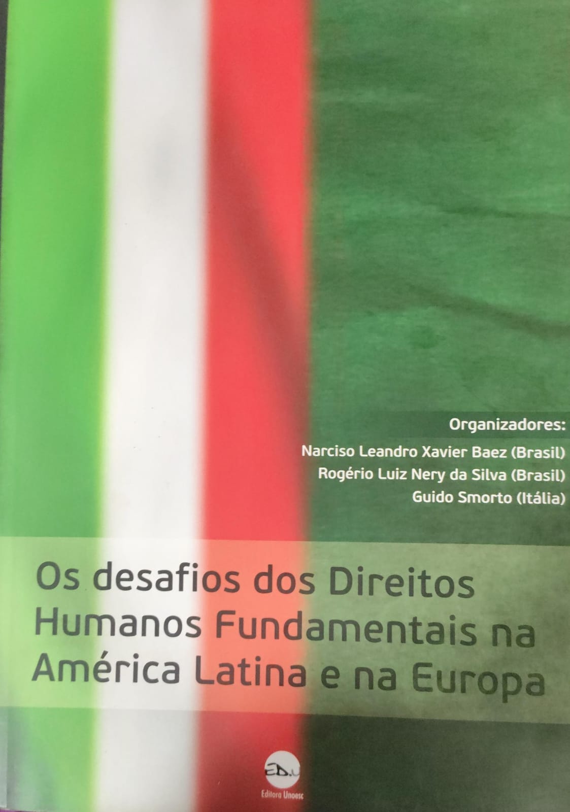 Os Desafios dos Direitos Humanos Fundamentais na América Latina e na ...